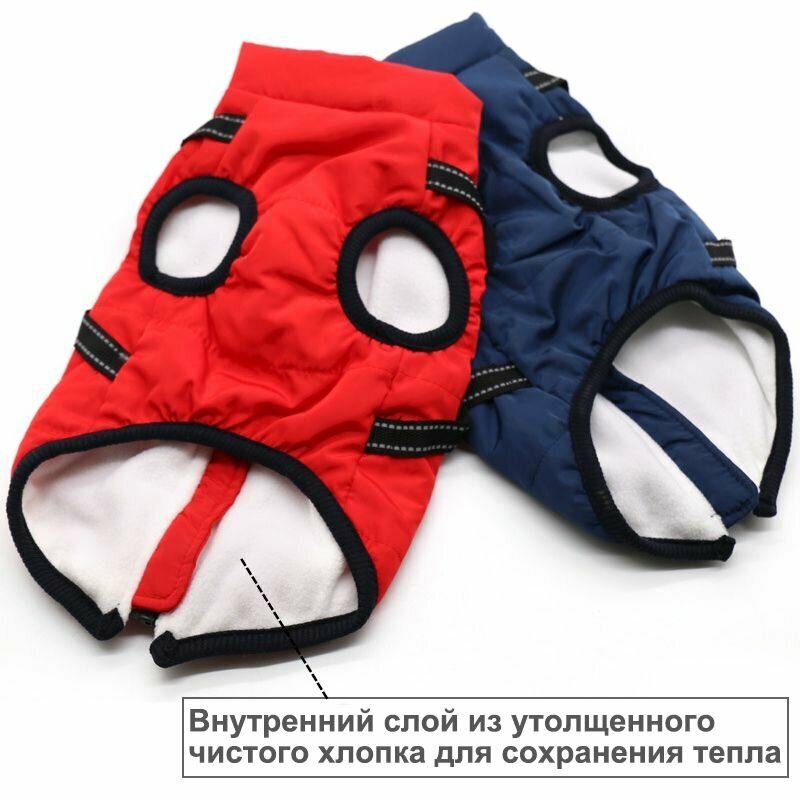 Одежда для животных-3 — фото 1