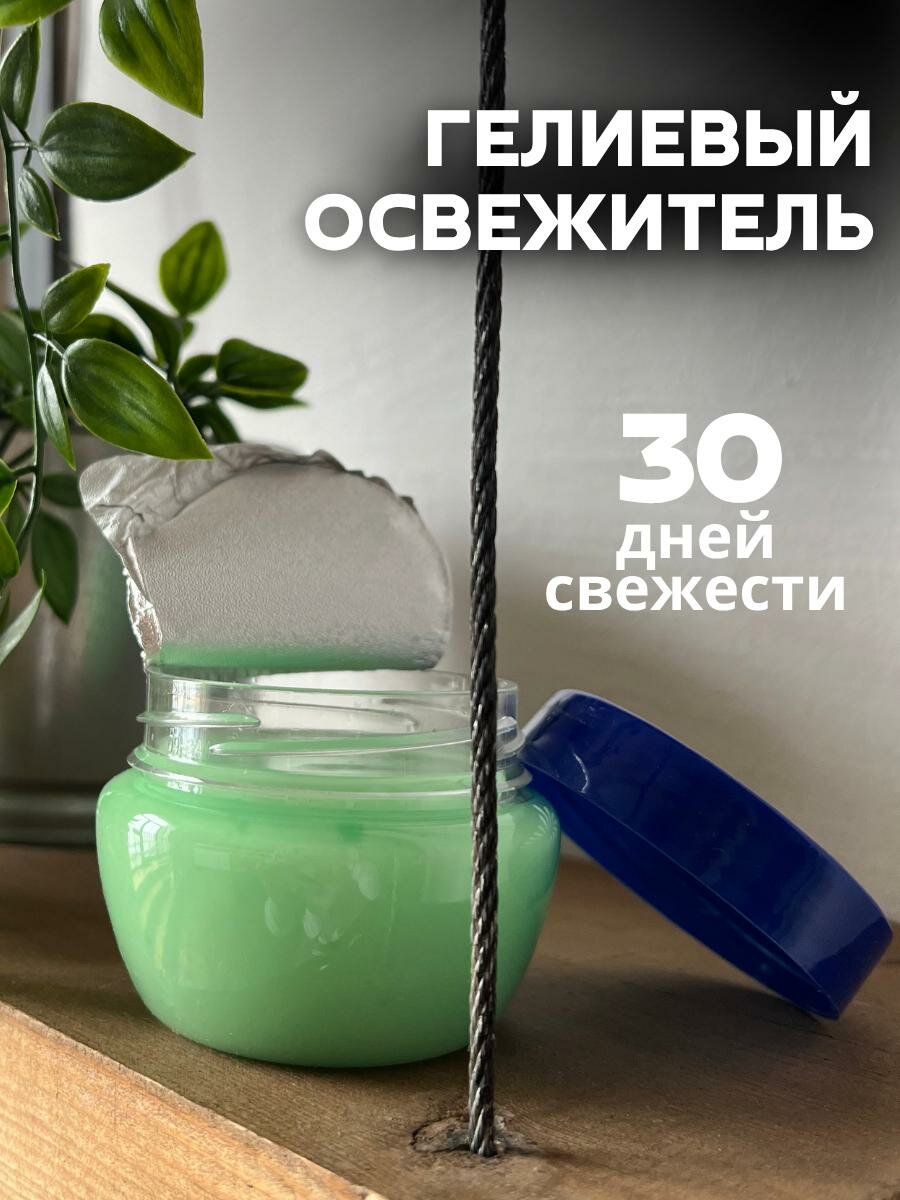 Освежитель воздуха гелевый, 120 мл яблочный микс