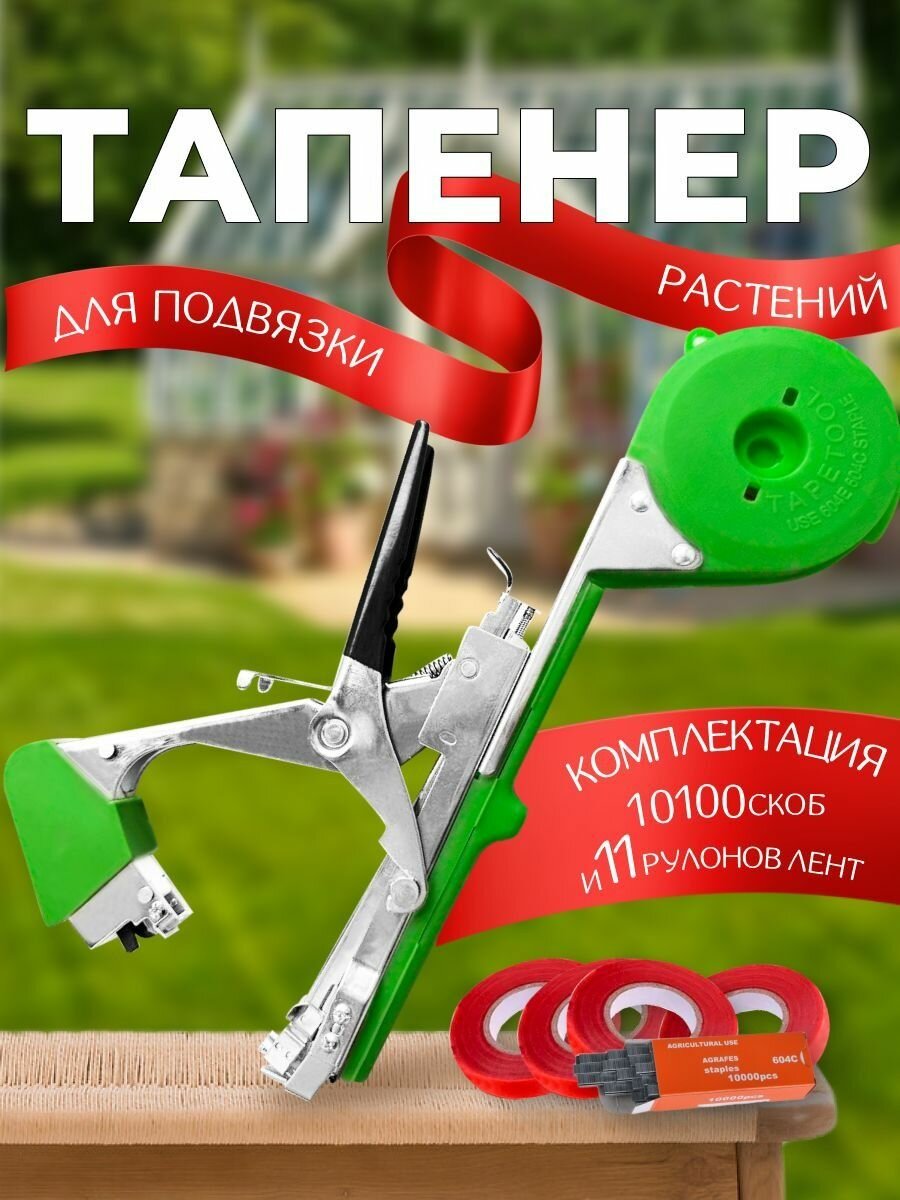 Тапенер