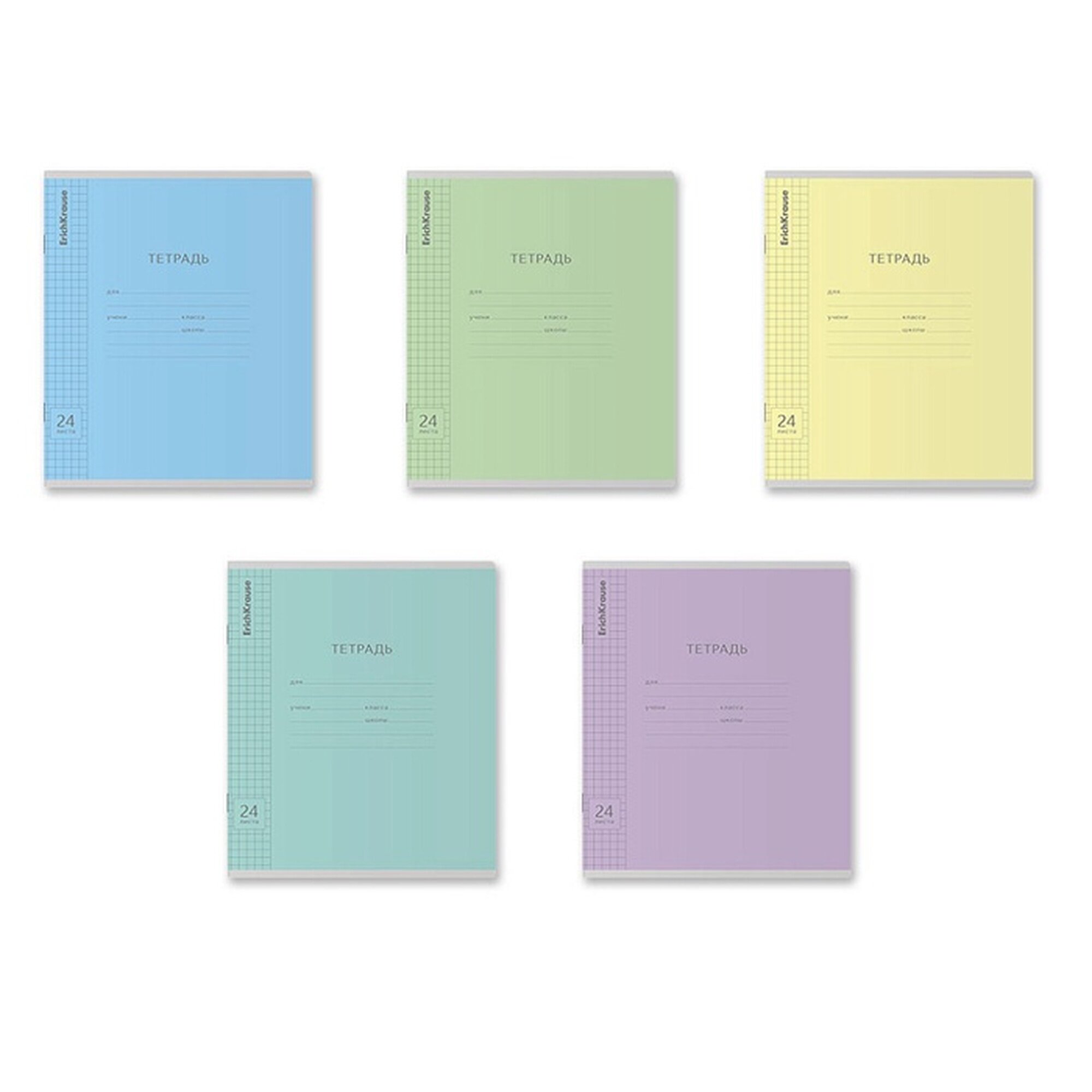 Тетрадь 24 листа в клетку, ErichKrause «Классика Visio», обложка мелованный картон, микс