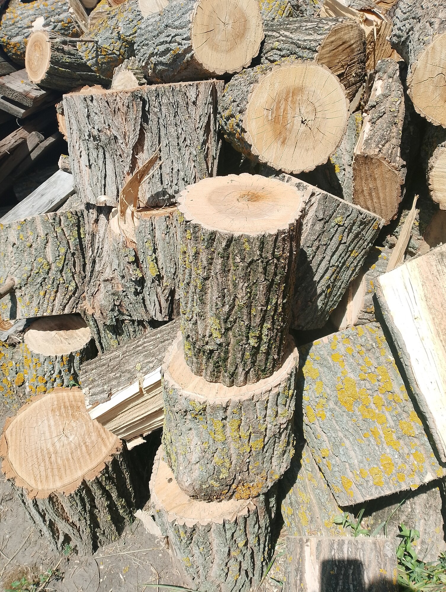 Пень (чурка не обработанная) из натуральной акации диаметр до 20 см — фото 1