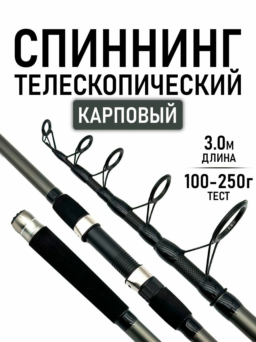 Спиннинг рыболовный телескопический карповый 3 метра тест 100-250г