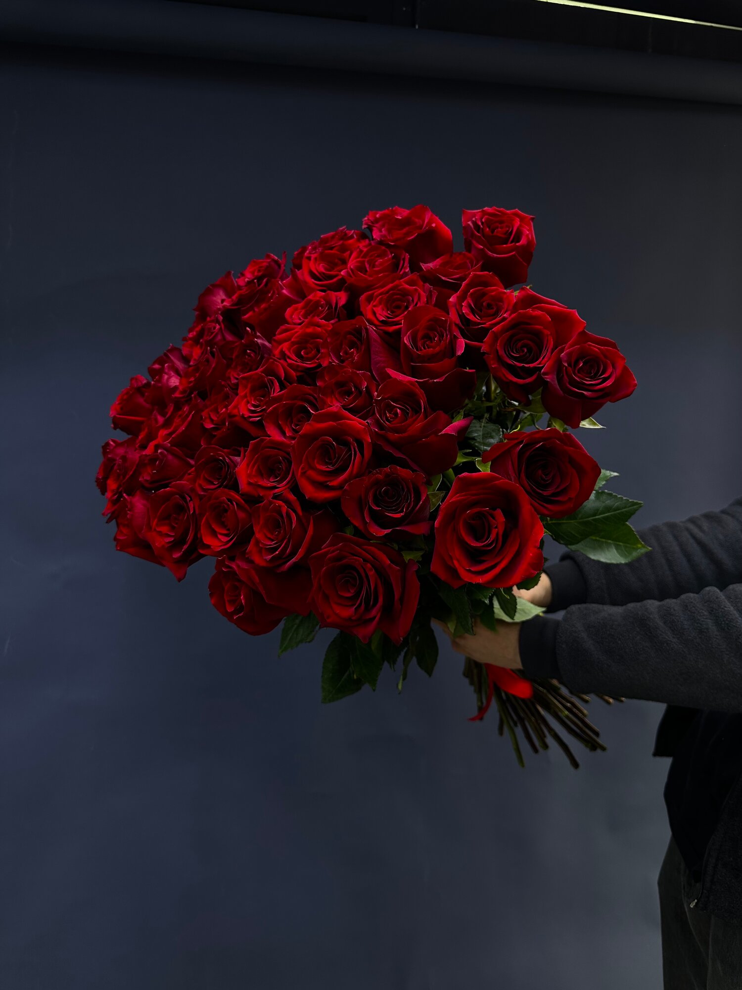 Роза Explorer красная, 51 штука, от «Blooming Bliss flowers”, размер L , Высота 70