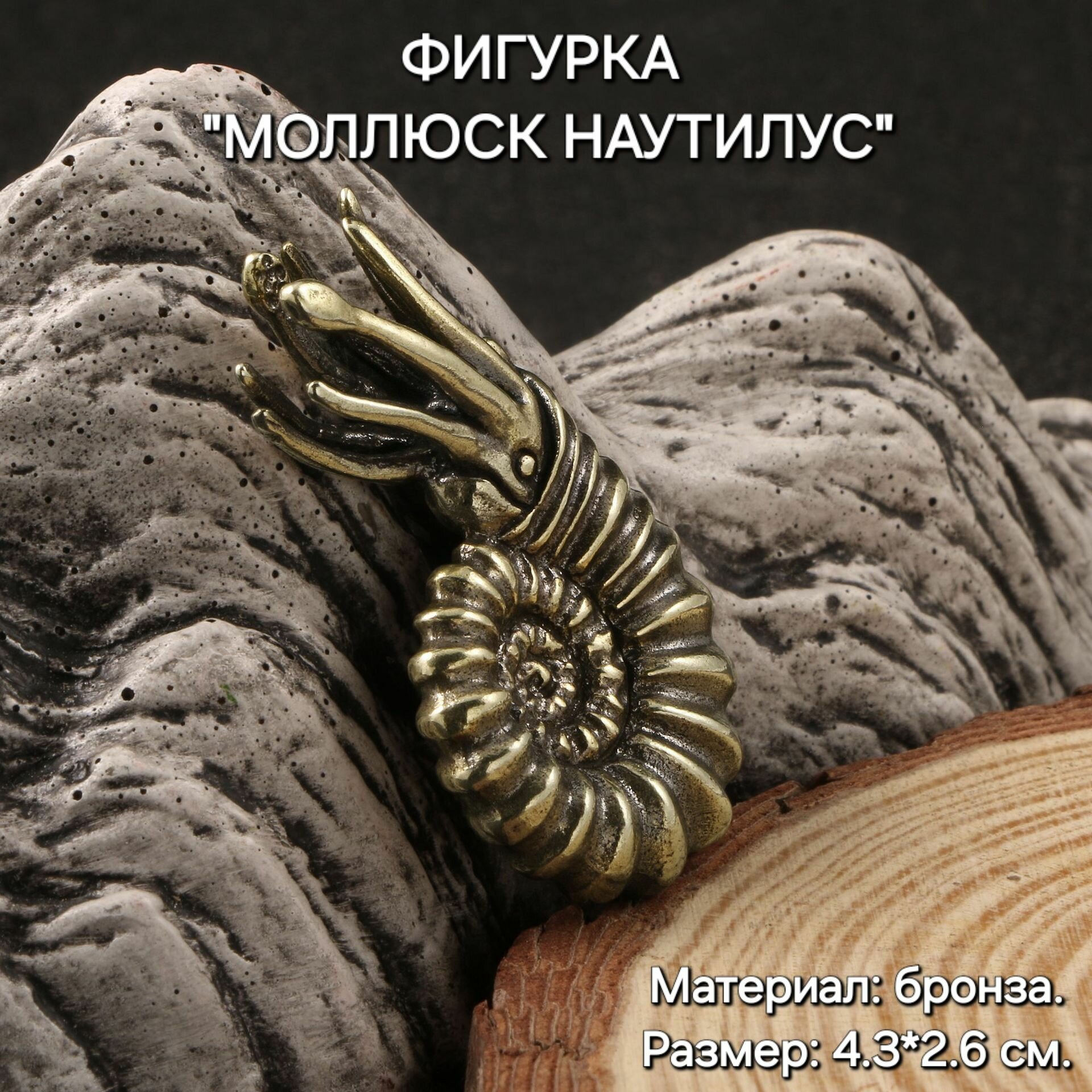 Статуэтка "Моллюск наутилус" бронза (4.3*2.6 см.)