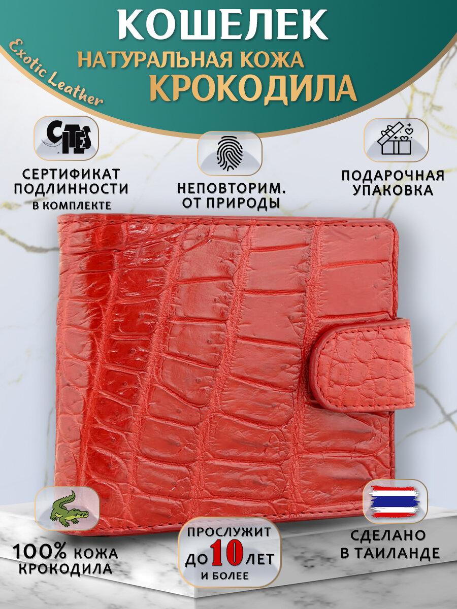 Бумажник