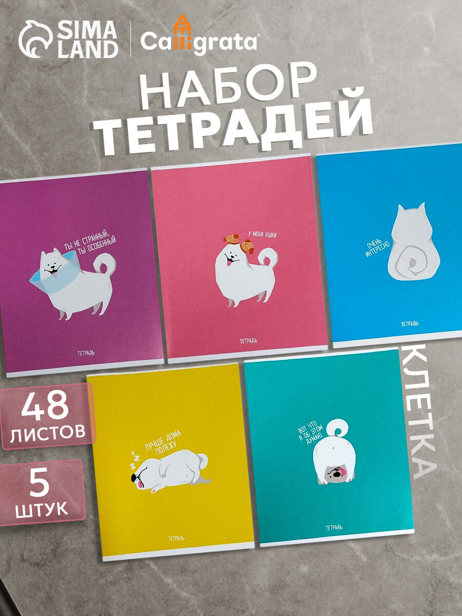 Комплект тетрадей 5 штук Calligrata "Хорошо быть собакой" в клетку, 48 листов