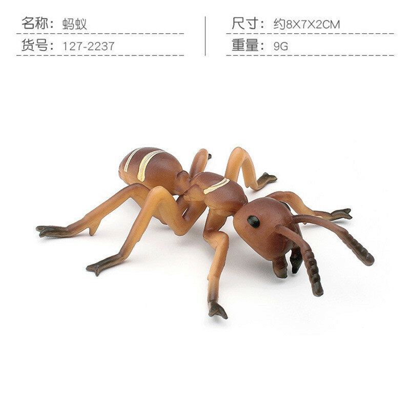 Model insects styleh набор моделей насекомых с бабочками пауками муравьями стрекозами и жучками для образовательных целей