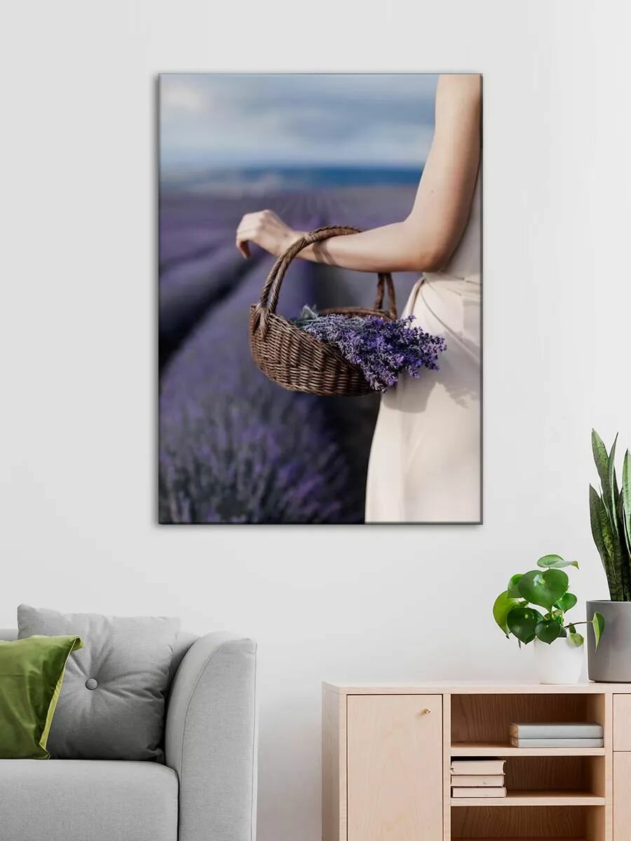 Картина на стену "Лавандовые поля", 50x70 см
