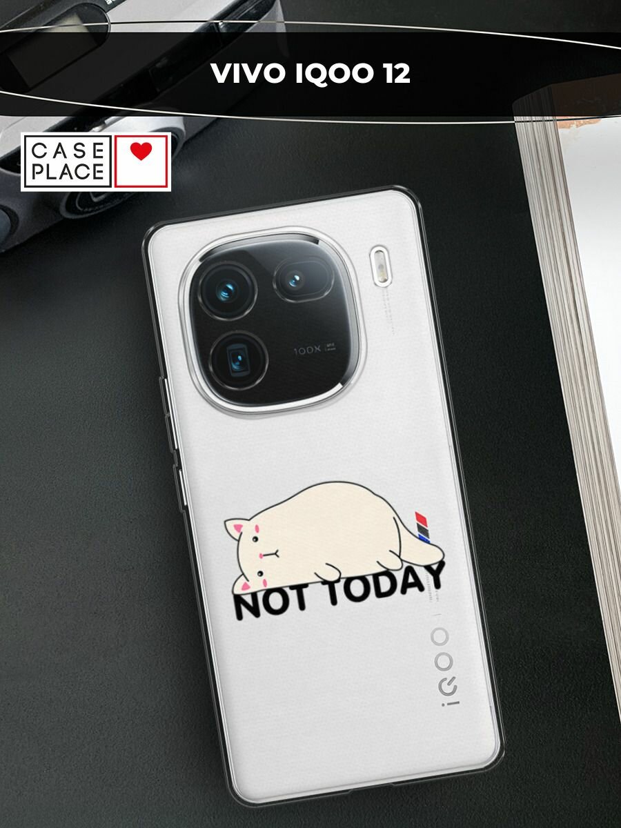 Чехол на Vivo iQOO 12 / Виво iQOO 12 с принтом "Cat not today", прозрачный