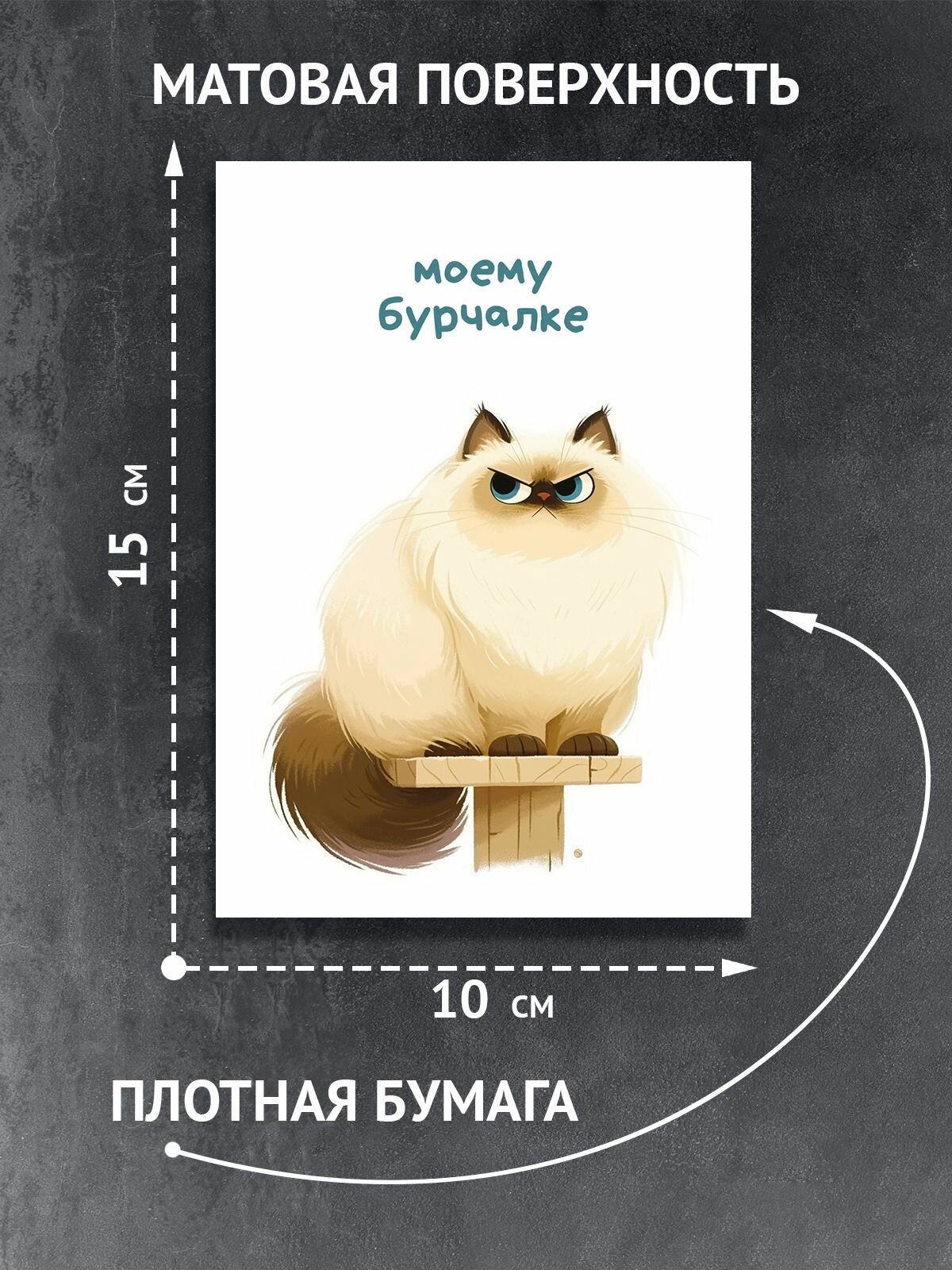 Подарочная открытка со смешной иллюстрацией персидского кота "Моему бурчалке" с днем рождения, с юбилеем, без повода