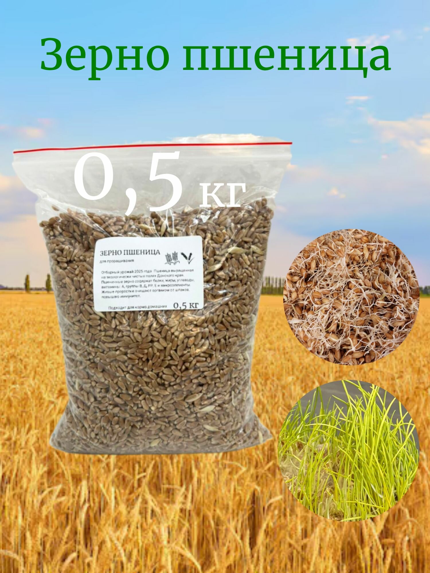 Зерна пшеницы для проращивания, диетический продукт, без ГМО и ароматизаторов, 500г