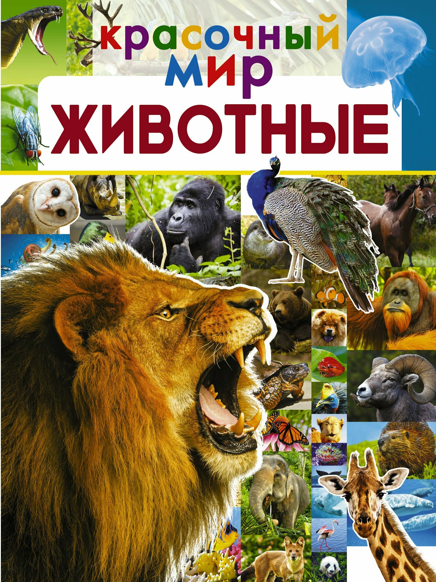 Животные / Любовь Вайткене