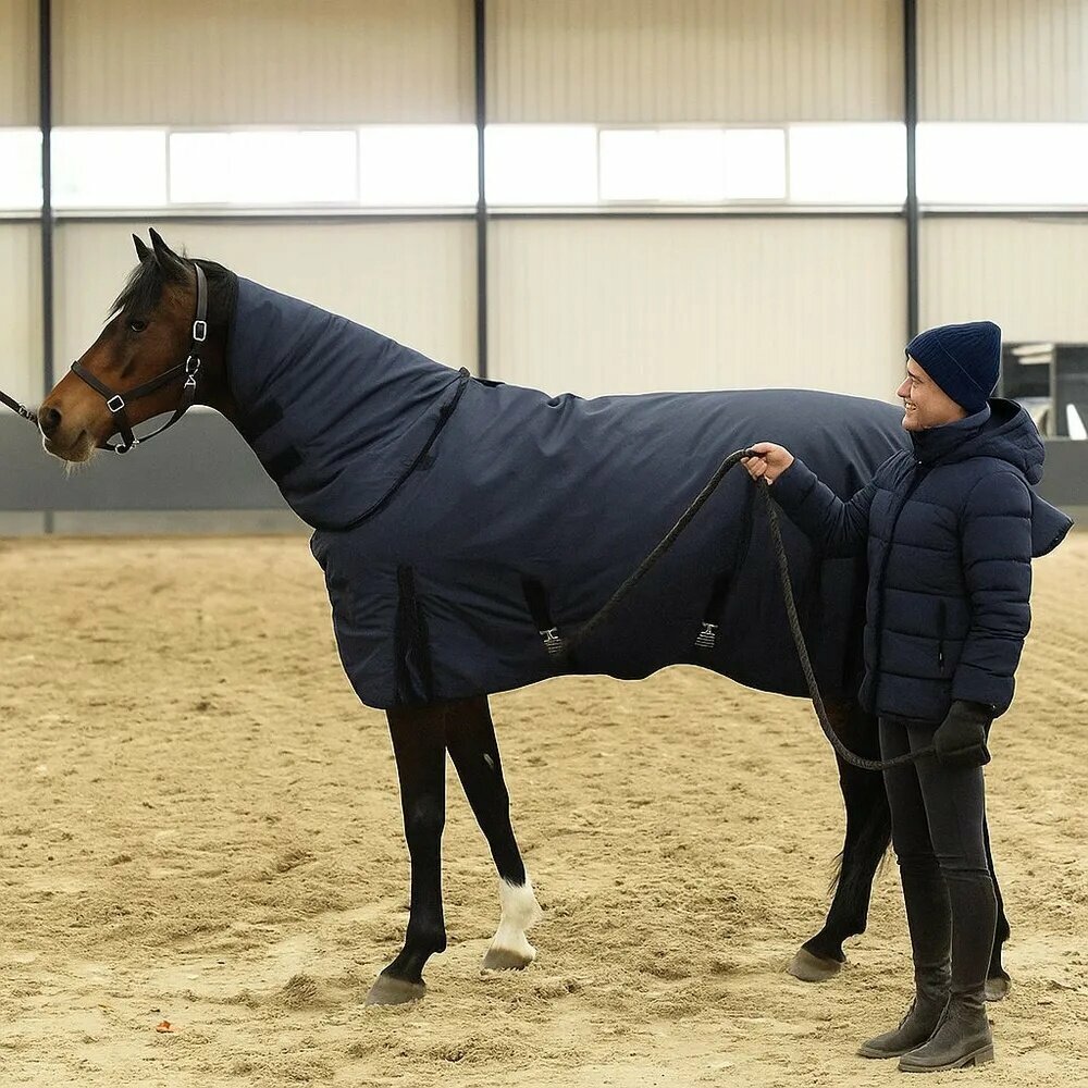 Попона для лошади ting(Случайный цвет)