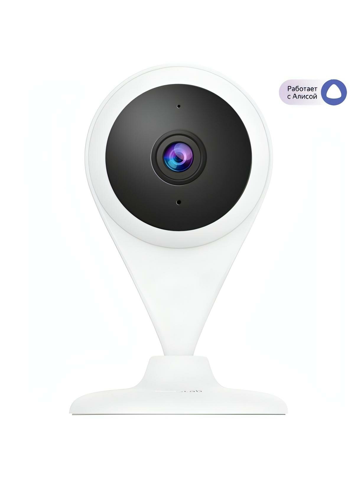 IP-камера Botslab C201 с двусторонней голосовой связью, экостистема Умный дом с Алисой — фото 1