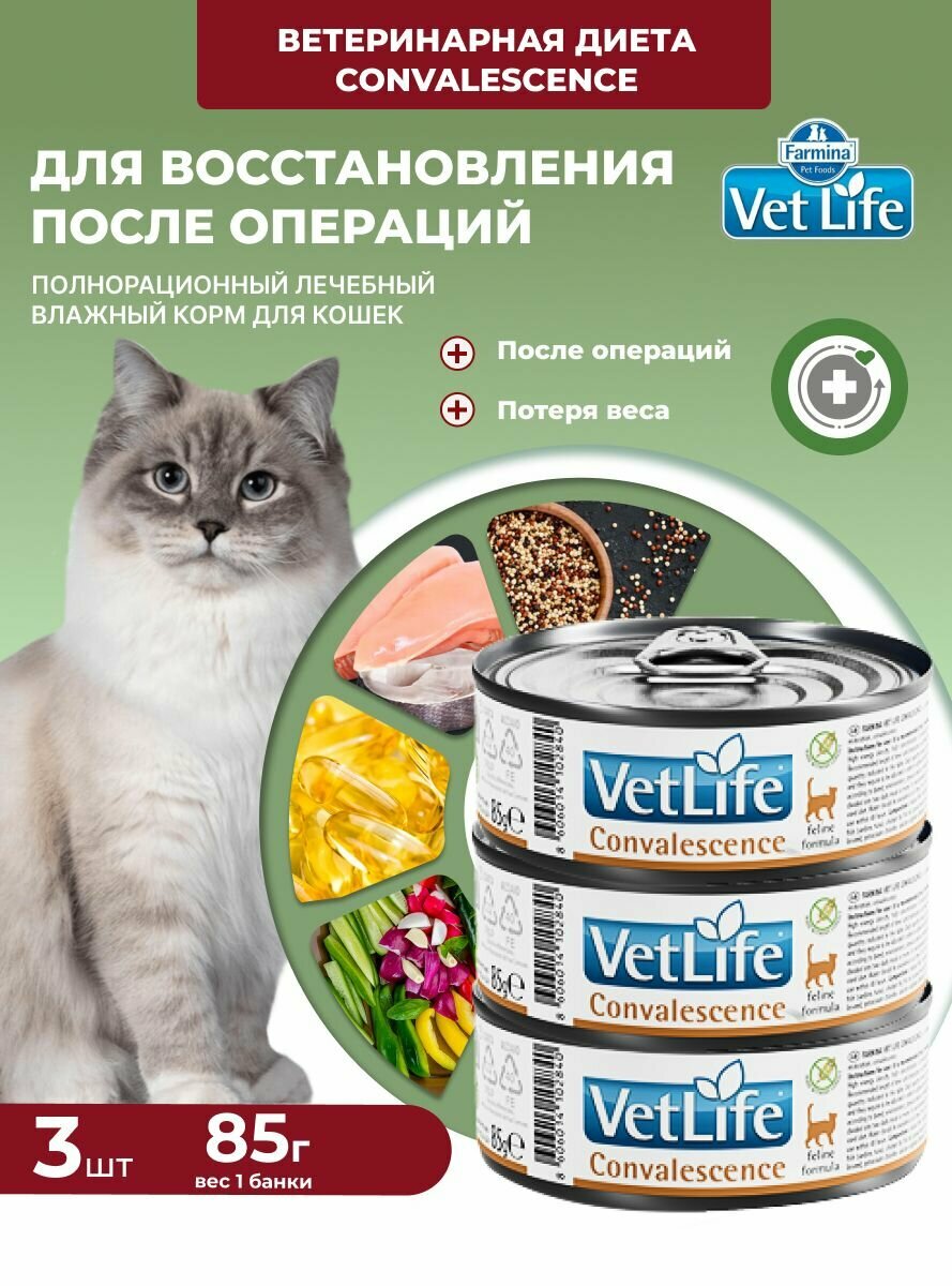 Влажный диетический корм Vet Life Farmina Для кошек Вет Лайф паштет конвалесценсе Фармина 85 г - 3 шт Convalescence Восстановление после болезни, после операции, для ослабленных