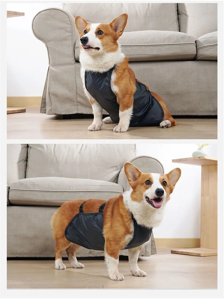 Водонепроницаемый фартук для собаки