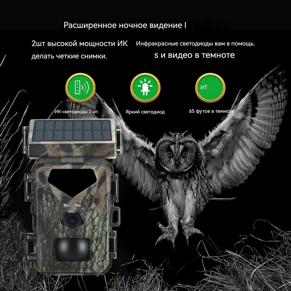 Фотоловушка