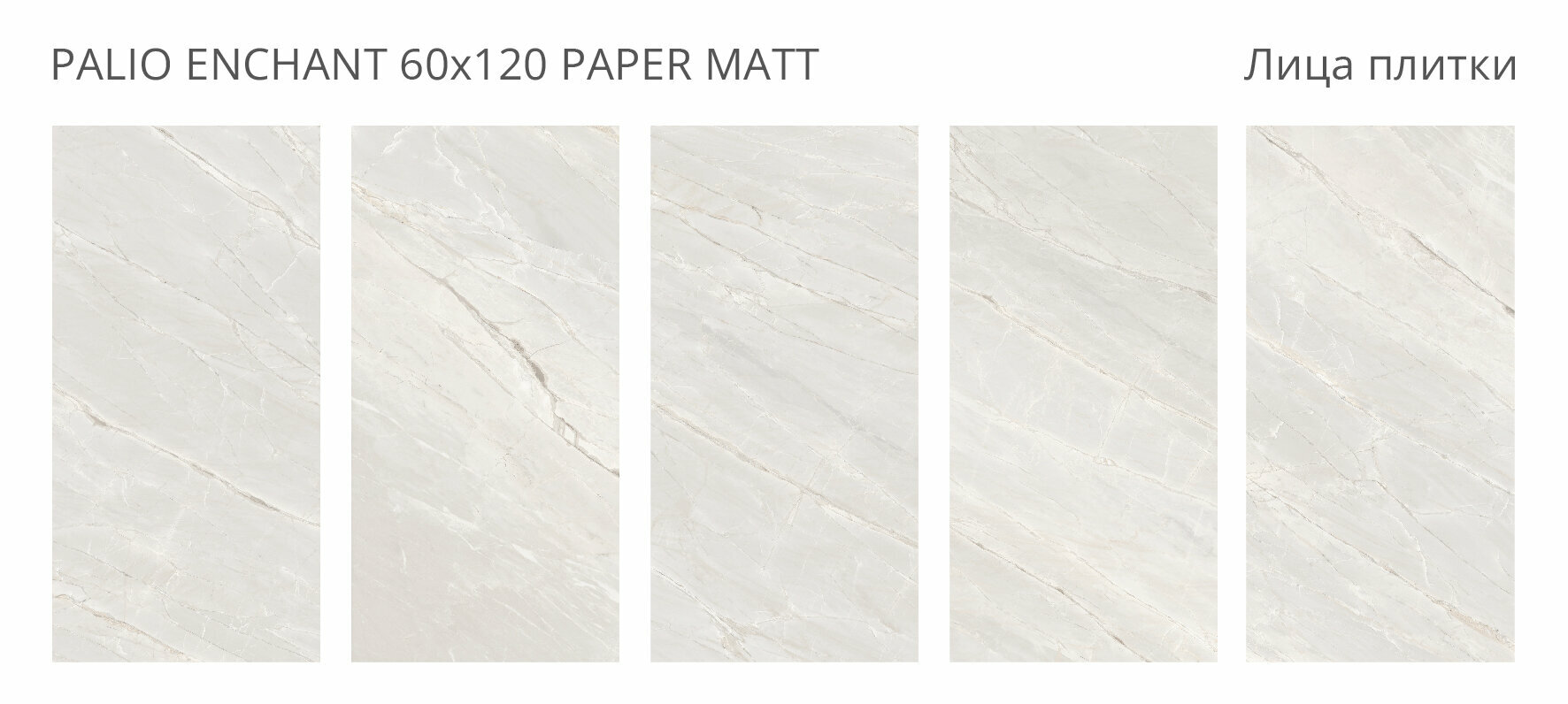 Керамогранит Palio Enchant Paper Matt 60x120 60x120 (цена за 1 плит. 0.72м2)