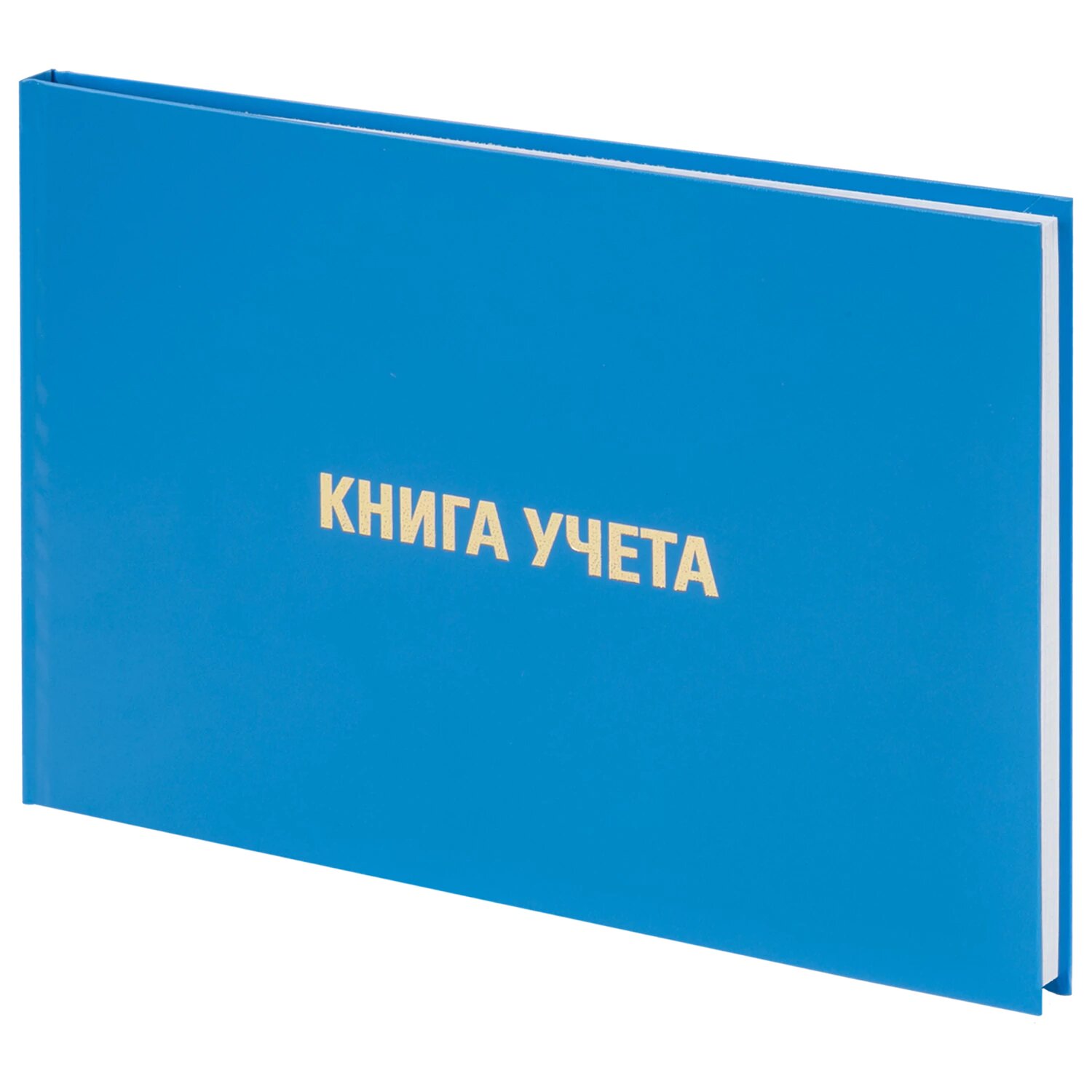 Книга учета 96 л, клетка, твердая, бумвинил, блок офсет, альбомная, А4 203290 мм, BRAUBERG, 130074