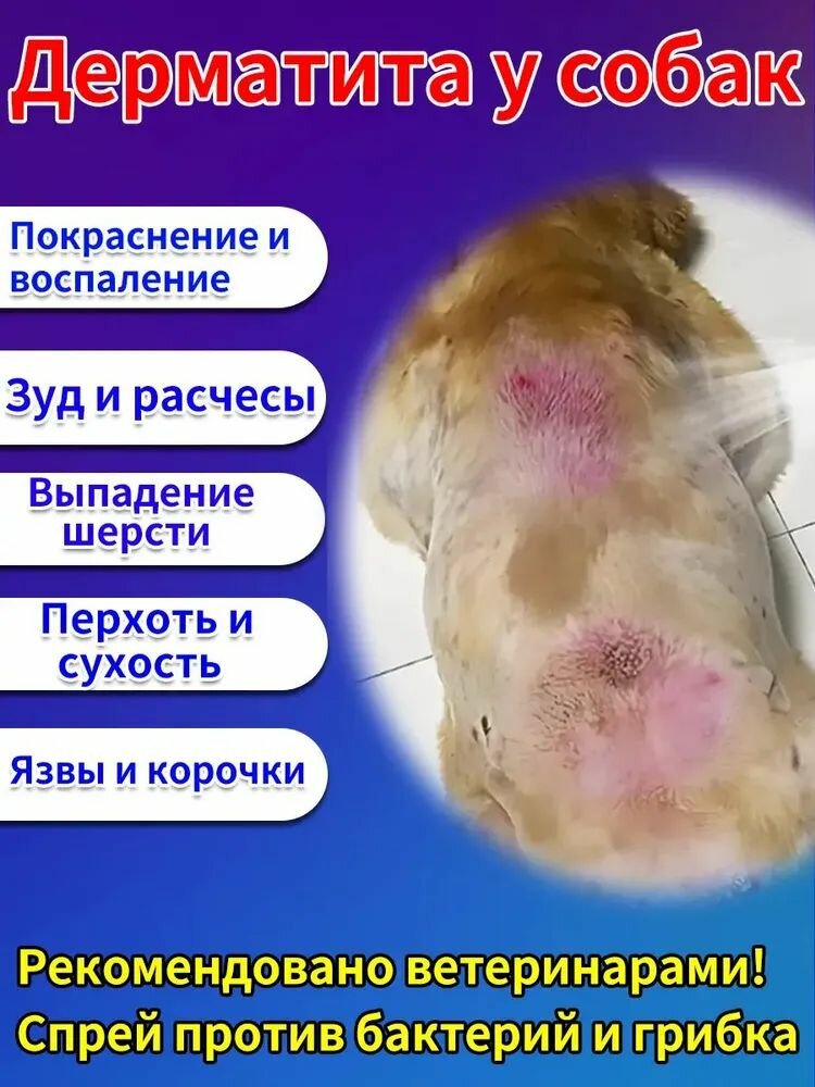 Спрей для лечения кожных заболеваний собак используется при зуде, выпадении волос и эрозии, 100 мл.