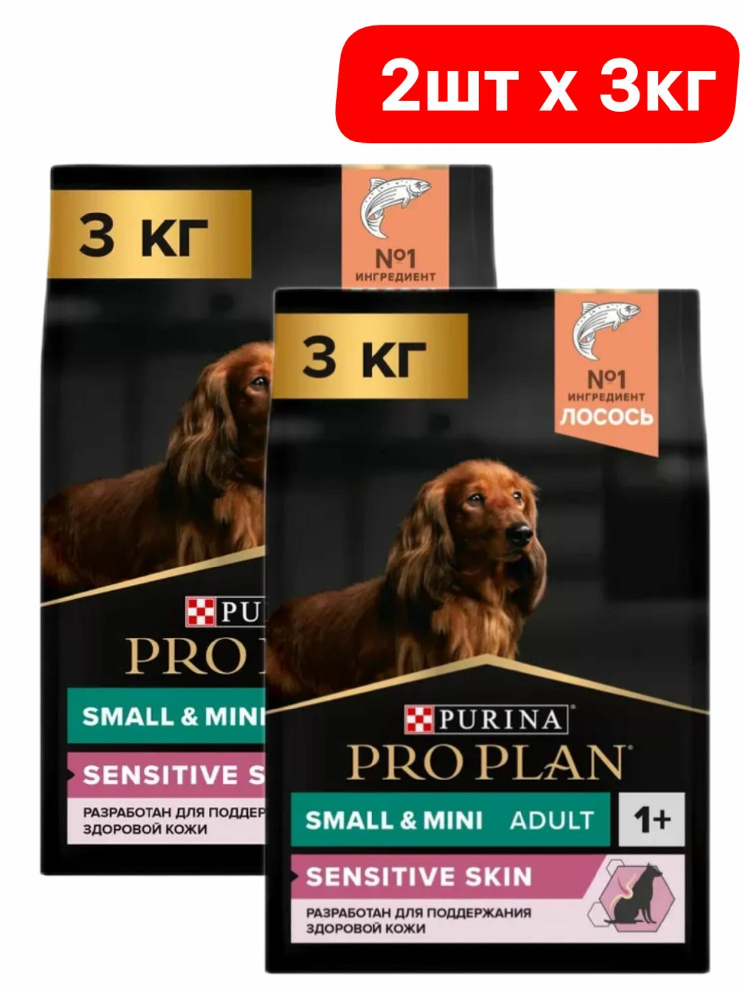Сухой корм для собак мелких и карликовых пород 2шт х 3кг Sensitive Skin, Лосось с рисом