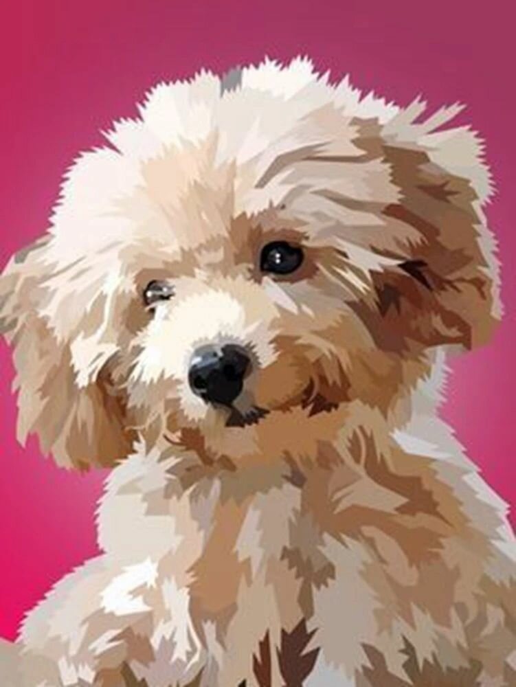 Набор для самостоятельной вышивки алмазами 5D французский пудель - круглая алмазная мозаика размером 40x50 см для украшения стен дома,40X50CM, белый