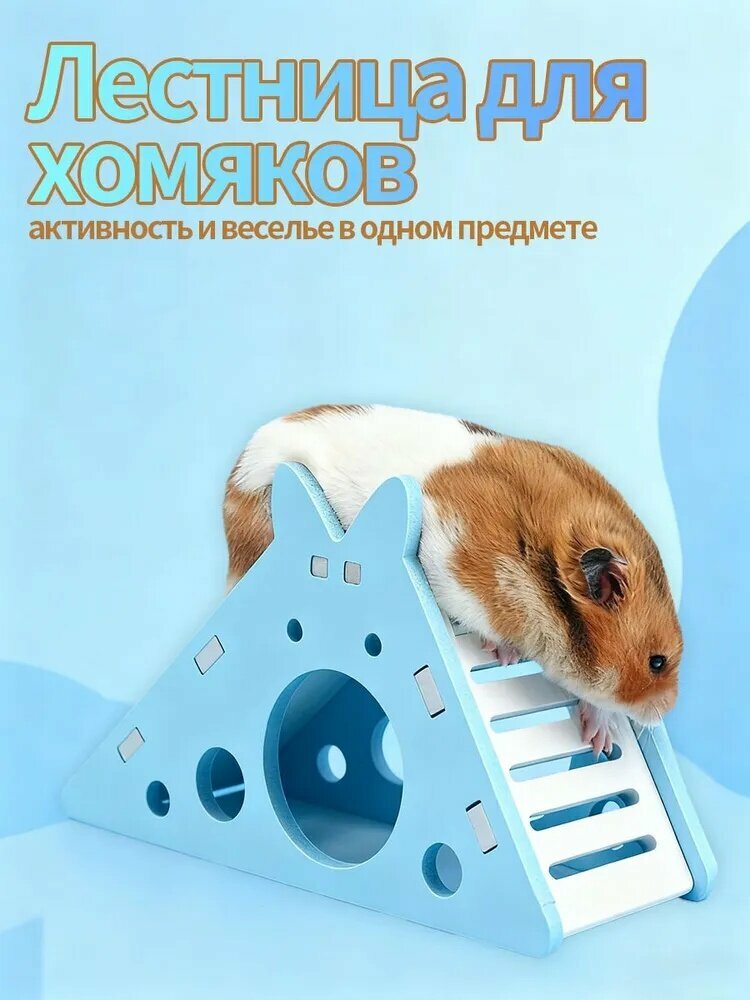 1 шт. Домик, лесенка, горка для маленьких грызунов: хомяк, декоративная крыса, мышка