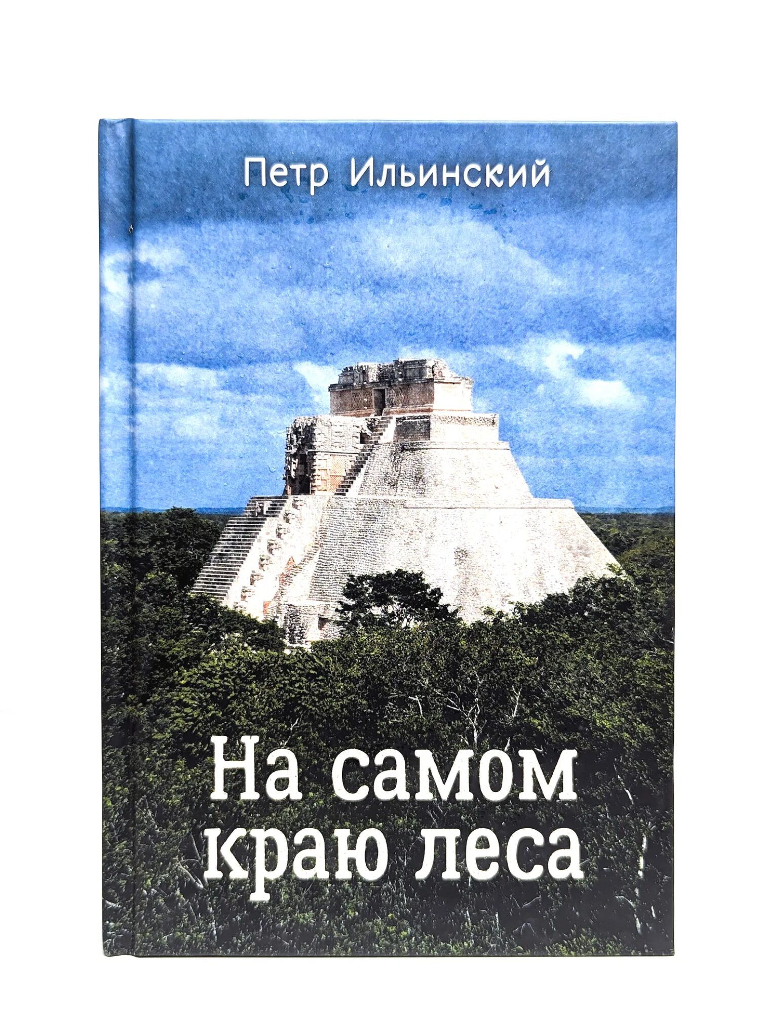 На самом краю леса Ильинский Петр Олегович 2019