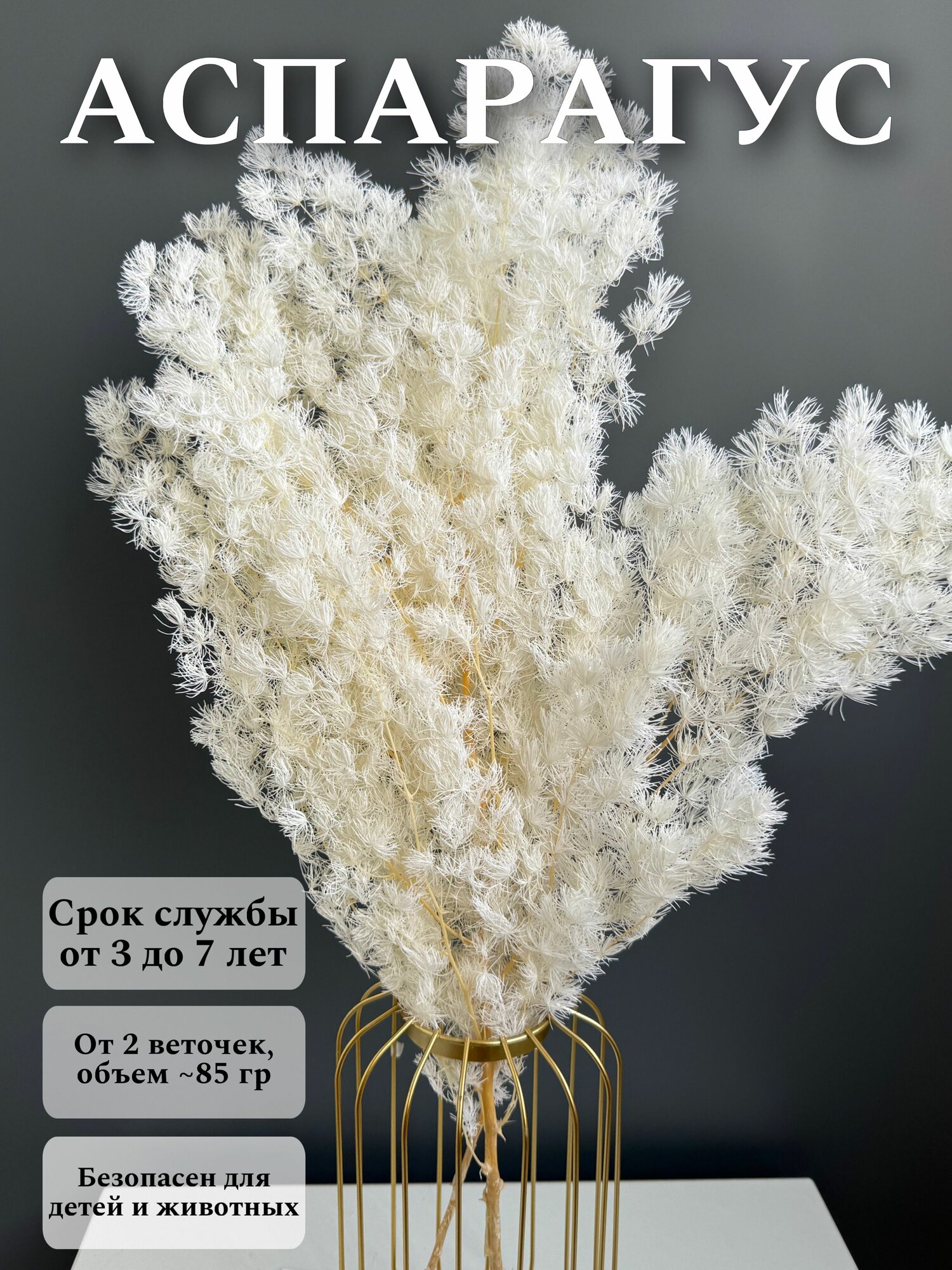 Стабилизированные цветы