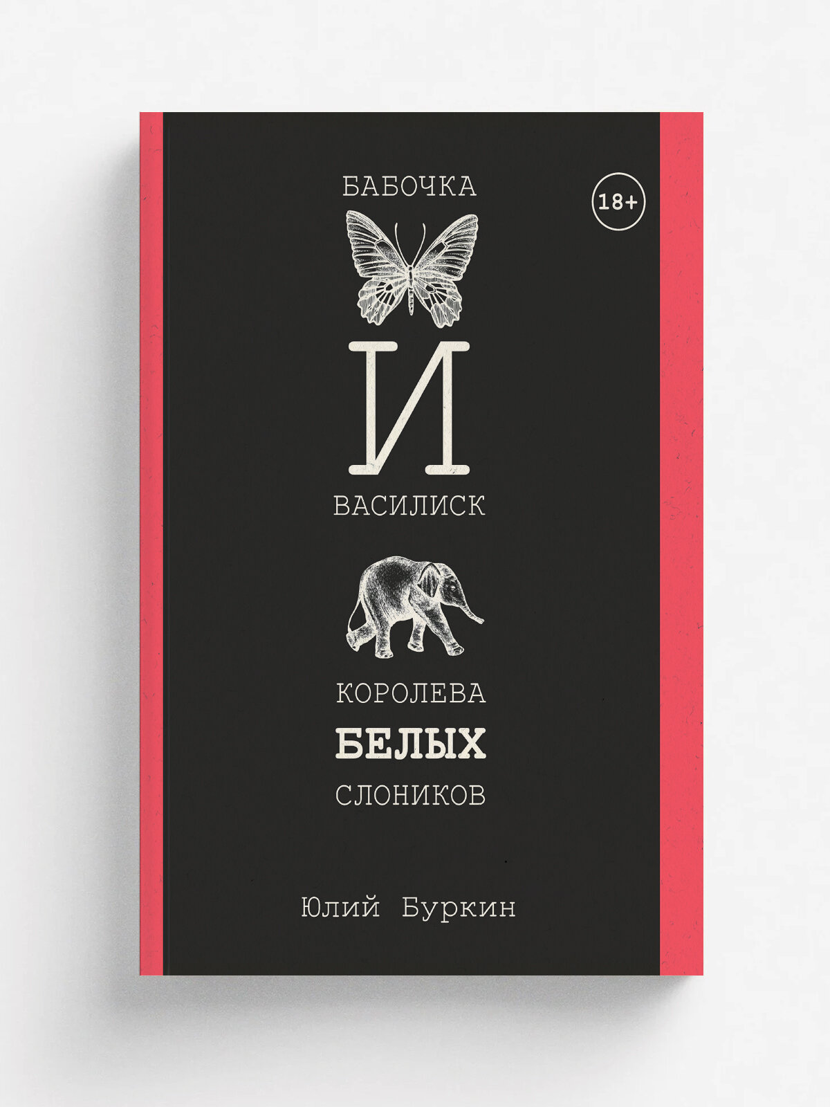 Бабочка и Василиск, Королева белых слоников