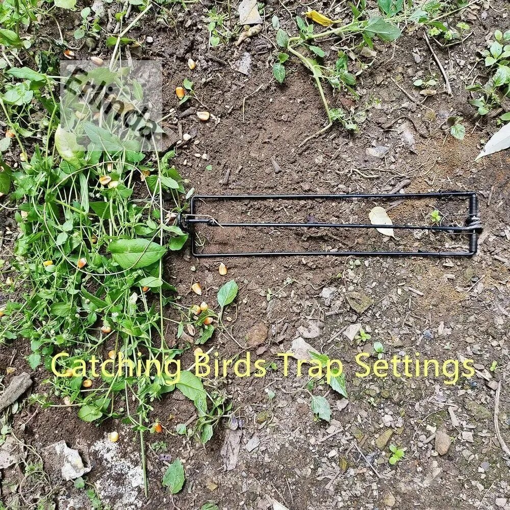 Домашняя ловушка для птиц инструменты для кемпинга охотничьей клетки голубей, фазанов уток других птиц