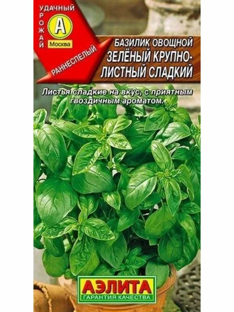 Базилик семена Зеленый крупнолистный 0,2 г, листья сладкие на вкус с приятным гвоздичным ароматом