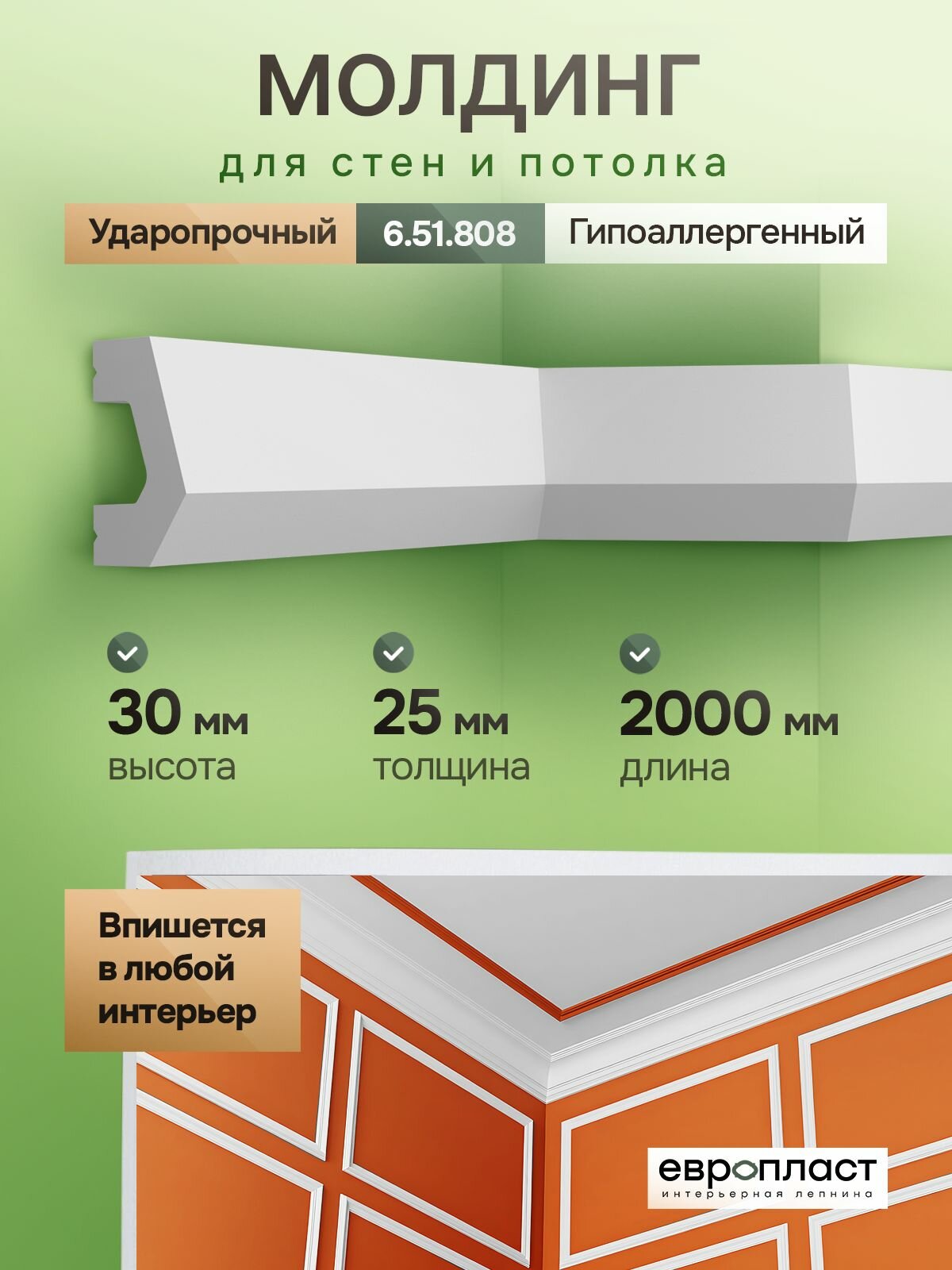 Молдинг для стен Европласт 6.51.808