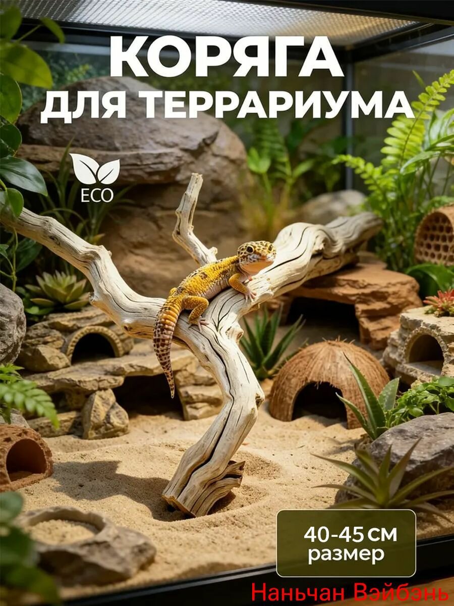 Натуральная коряга для террариума, ветка для лазания и укрытия рептилий, декор для ящериц, змей и хамелеонов декор для террариума коряга для рептилий ветка для хамелеонов