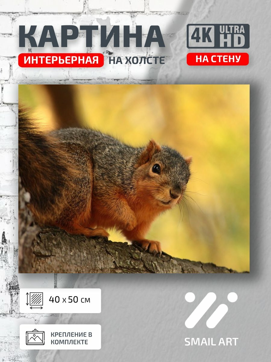 Картина на холсте интерьерная 40 на 50 на стену Дереве Mood для кабинета атмосфера интерьер