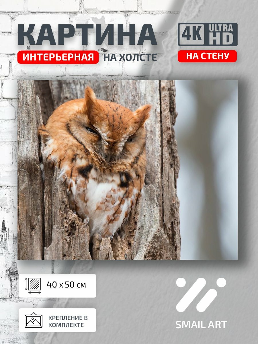 Картина на холсте интерьерная 40 на 50 на стену Перья Landscape для офиса пейзаж интерьер