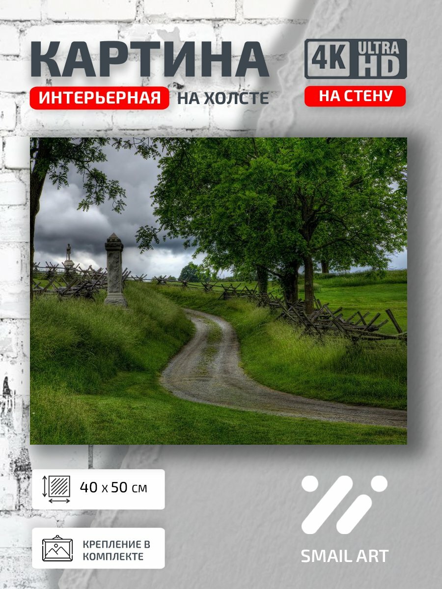 Картина на холсте интерьерная 40 на 50 на стену Тропа Landscape для гостиной пейзаж декор