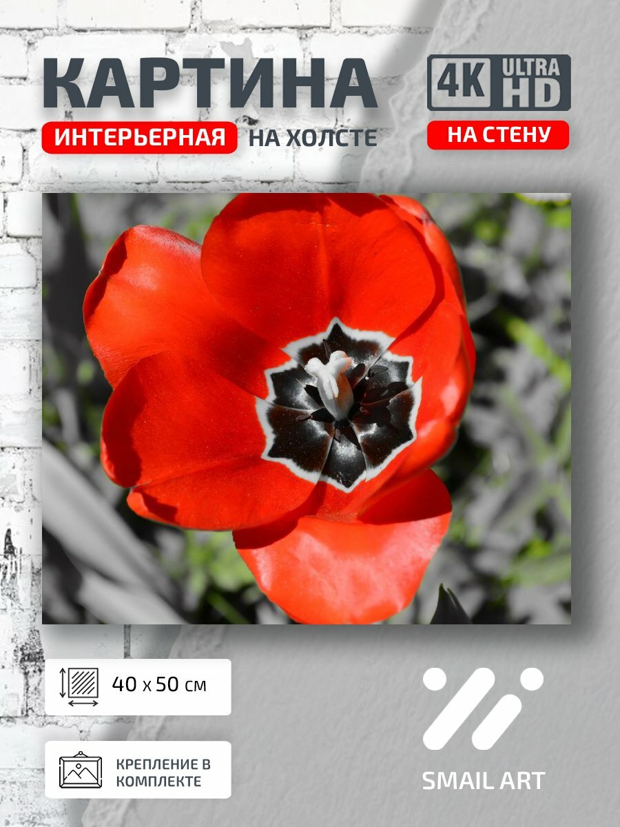 Картина на холсте интерьерная 40 на 50 на стену Мак Mood для спальни атмосфера интерьер
