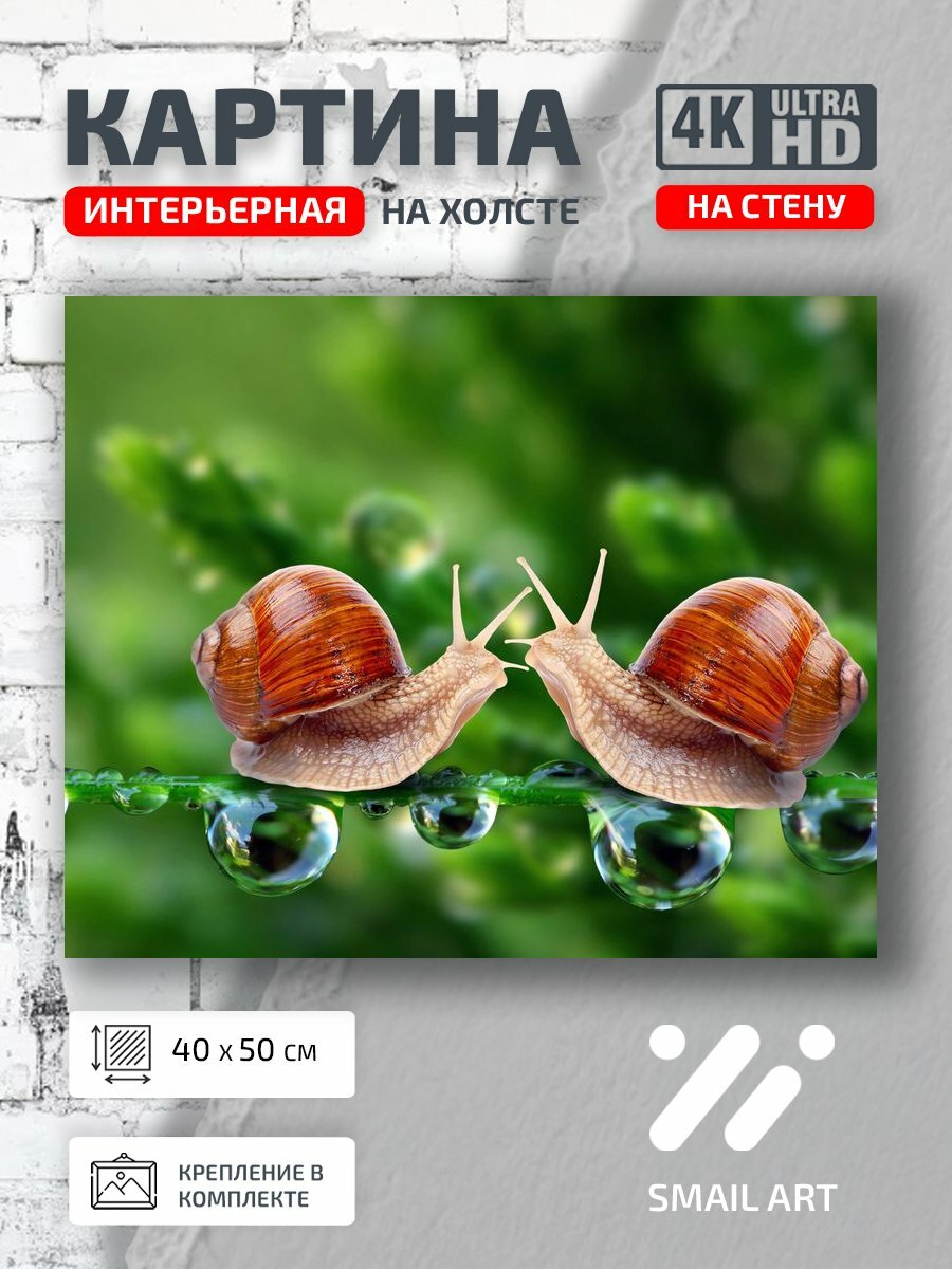 Картина на холсте интерьерная 40 на 50 на стену Каплями Mood для офиса атмосфера интерьер
