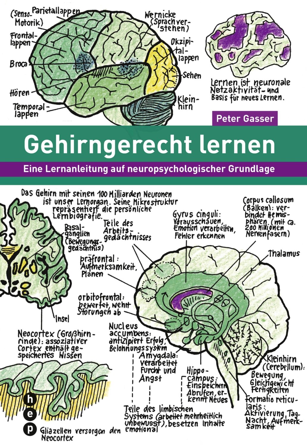 Gehirngerecht lernen (E-Book) [Цифровая книга]