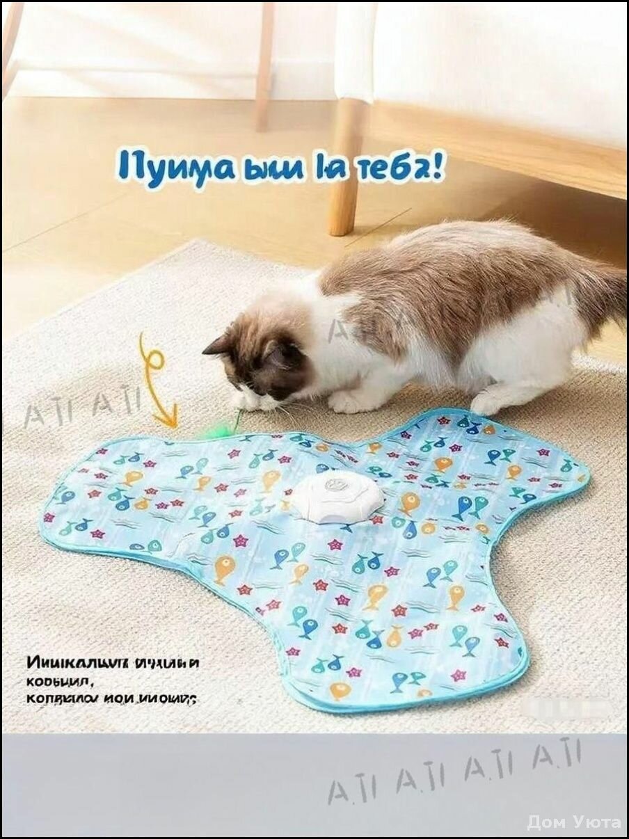 Эксклюзивный аксессуар для питомца