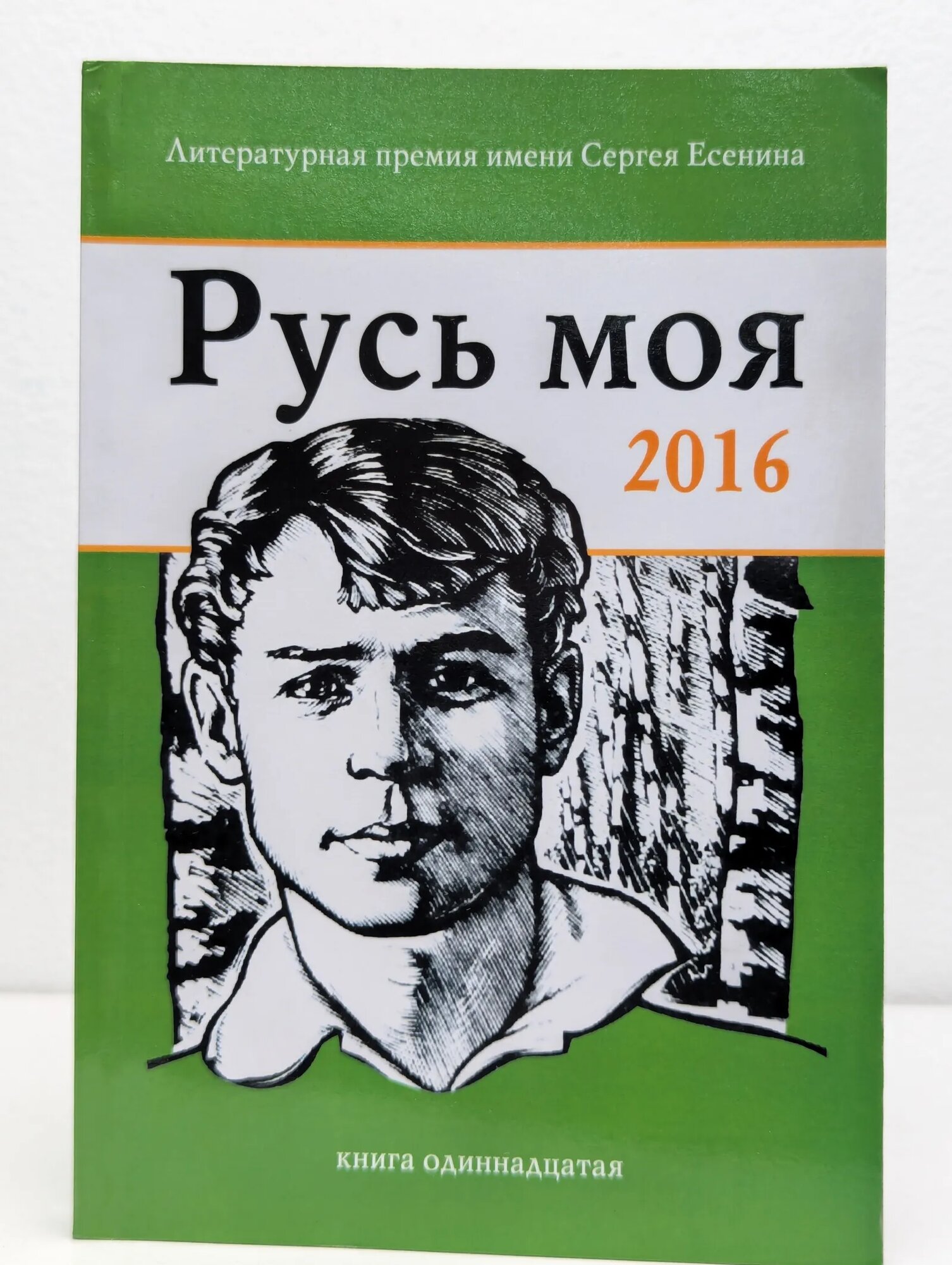 Русь моя 2016. Книга 11 Сборник 2016