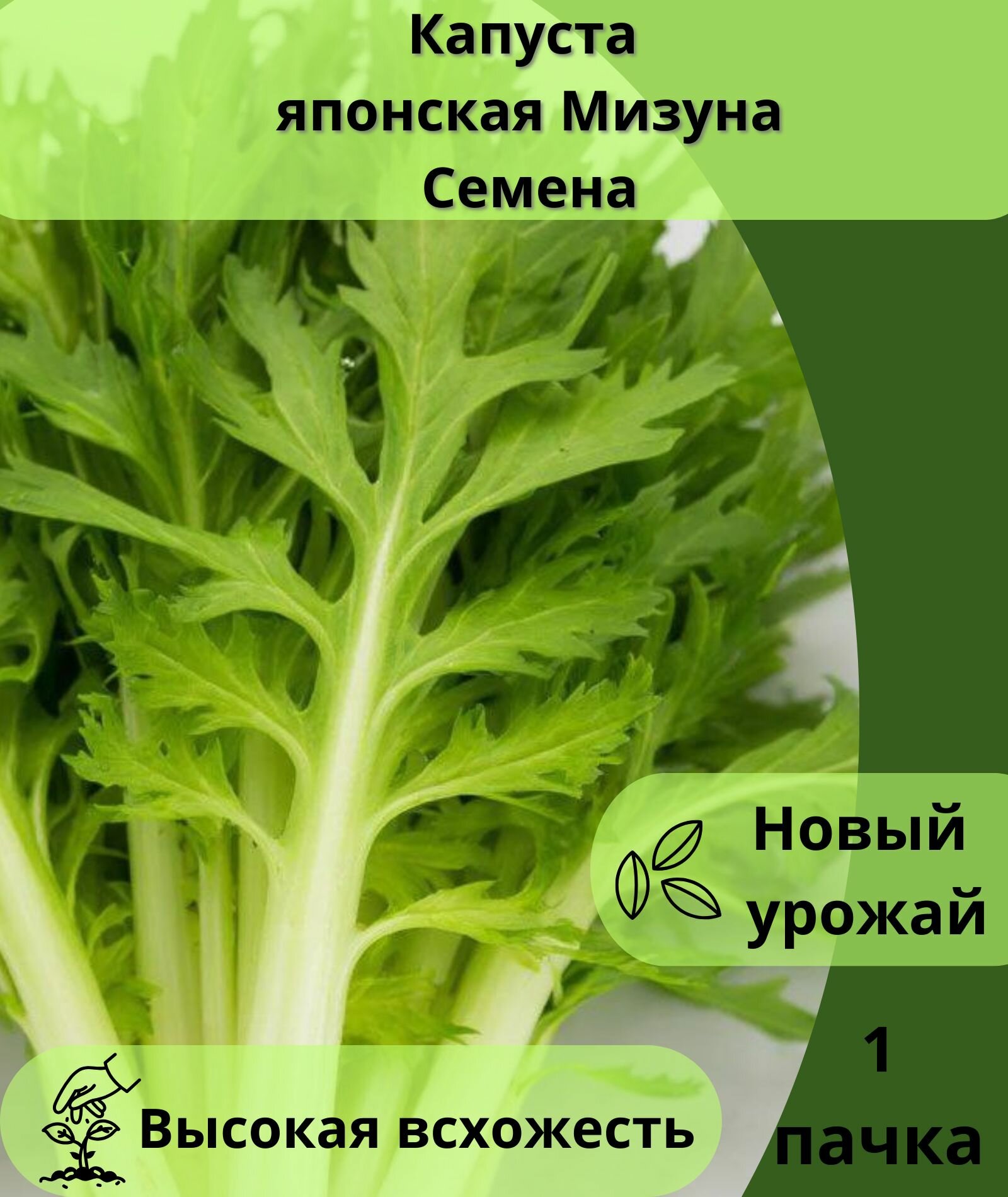 Капуста японская Мизуна, семена 10шт