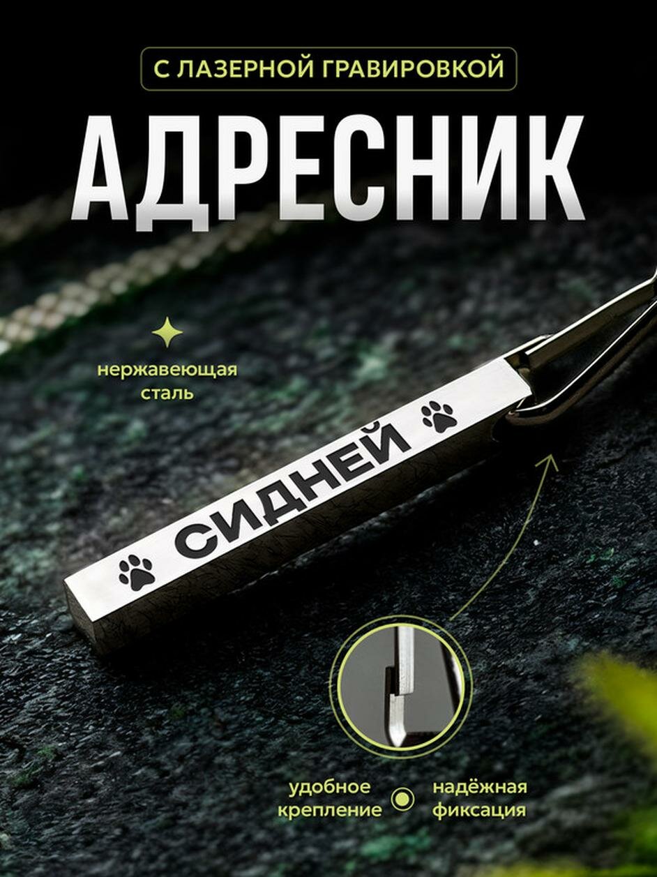 Адресник для собаки с гравировкой, нерж. сталь, серебристый, Сидней