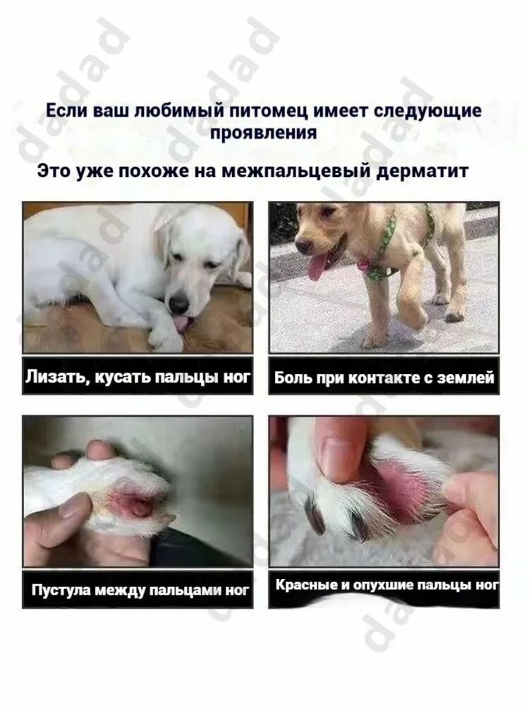 Косметика для животных — фото 1