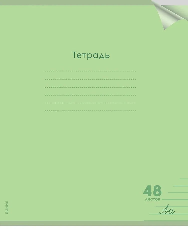 Комплект тетрадей Проф-пресс 48 листов, А5, линейка, классическая линовка, пластиковая прозрачная обложка, салатовый цвет, 5 шт (48-1480 комплект)