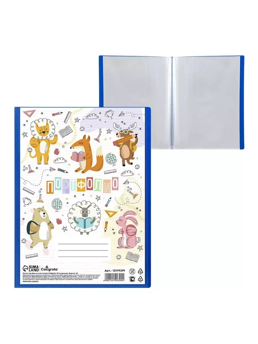 Папка-портфолио Команда