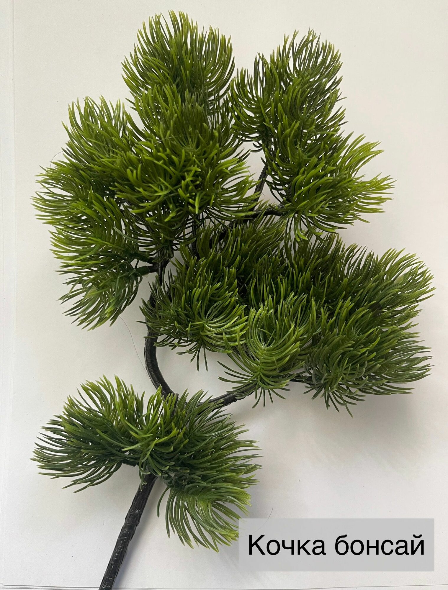 Бонсай кочка декоративный