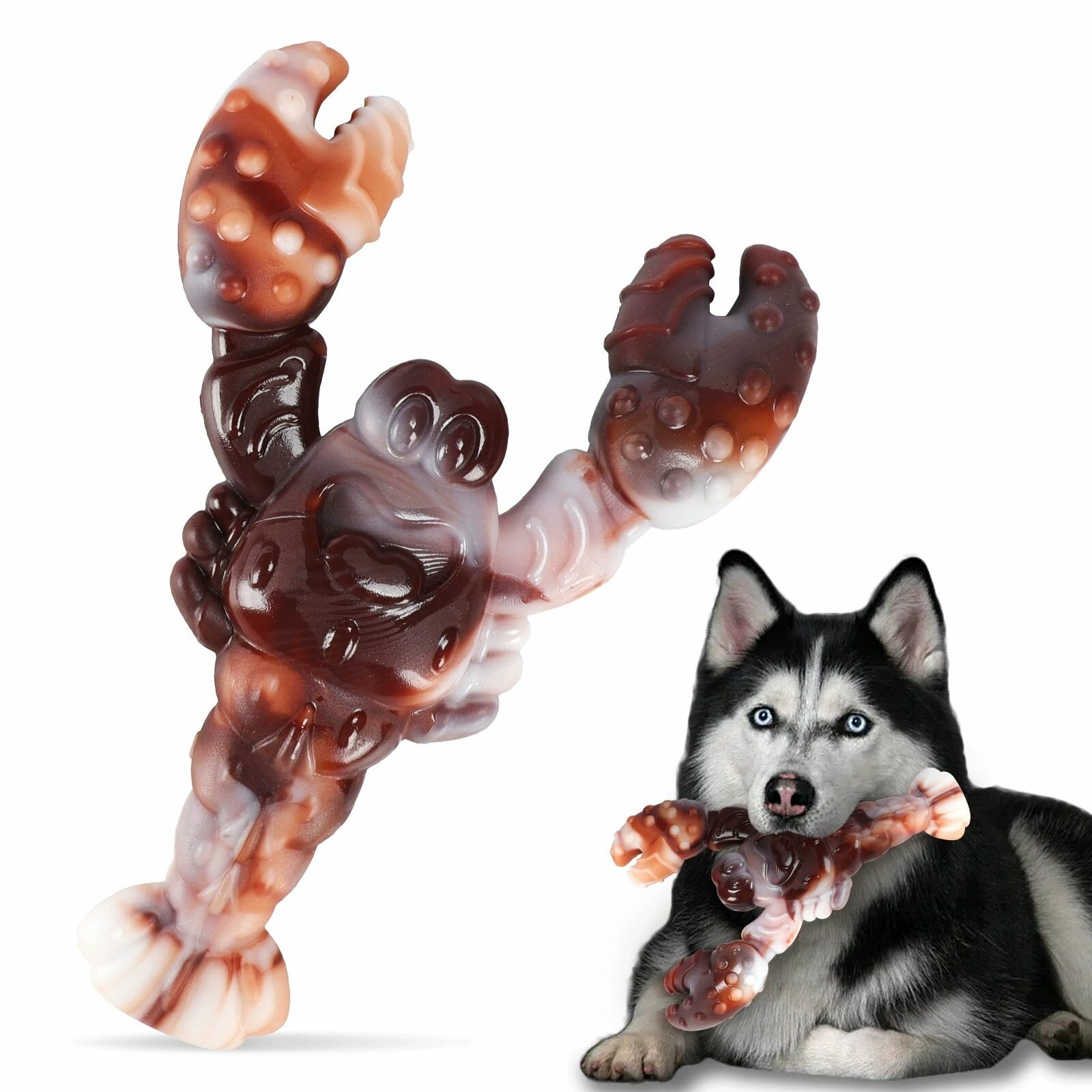 Прочная жевательная игрушка-грызак для собак с ароматом говядины "Лобстер"