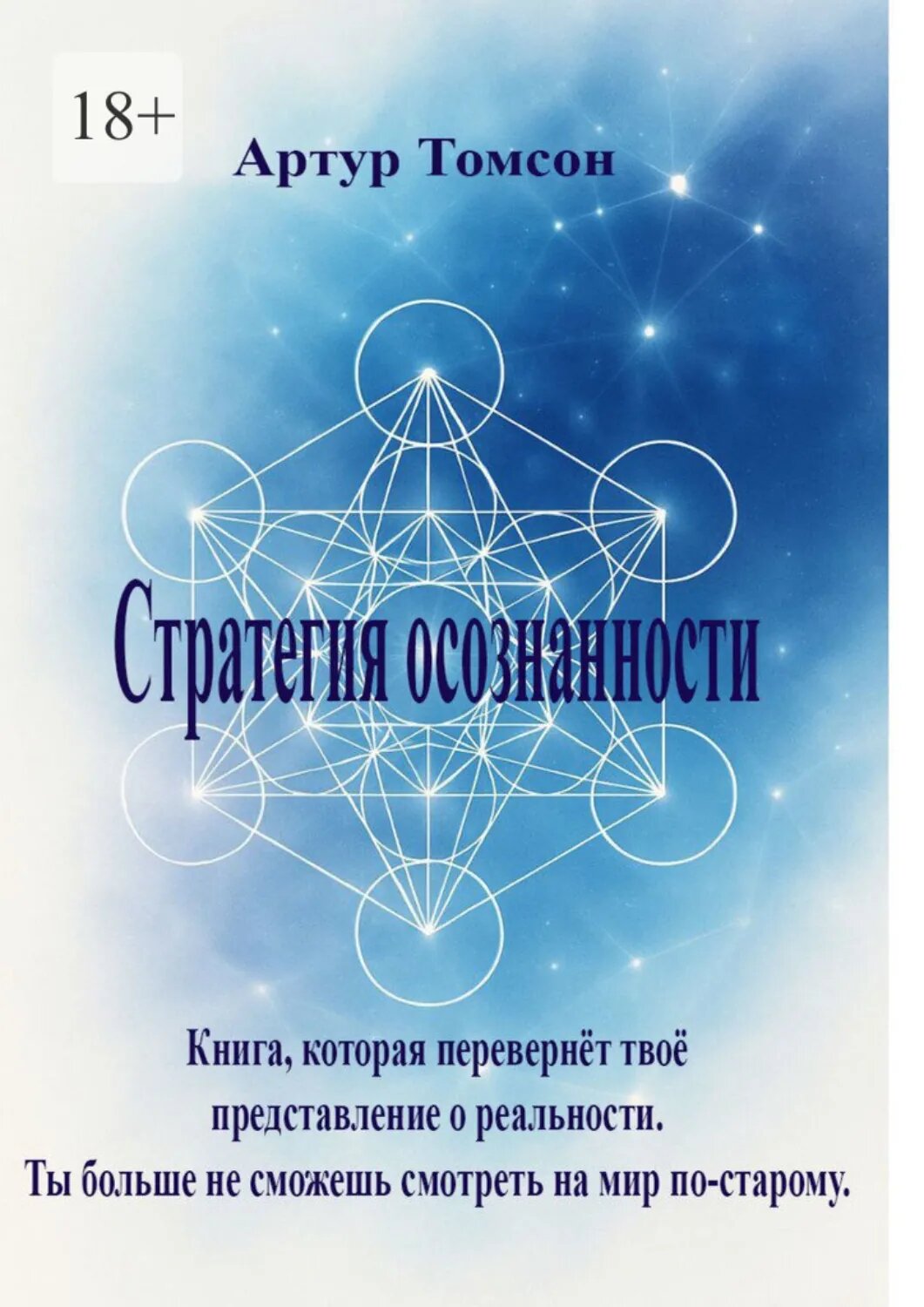 Стратегия осознанности [Цифровая книга]